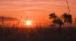 20 Blooming Facts About the Spring Equinox - The Fact Site