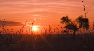 20 Blooming Facts About the Spring Equinox - The Fact Site