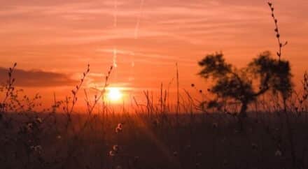 20 Blooming Facts About the Spring Equinox - The Fact Site