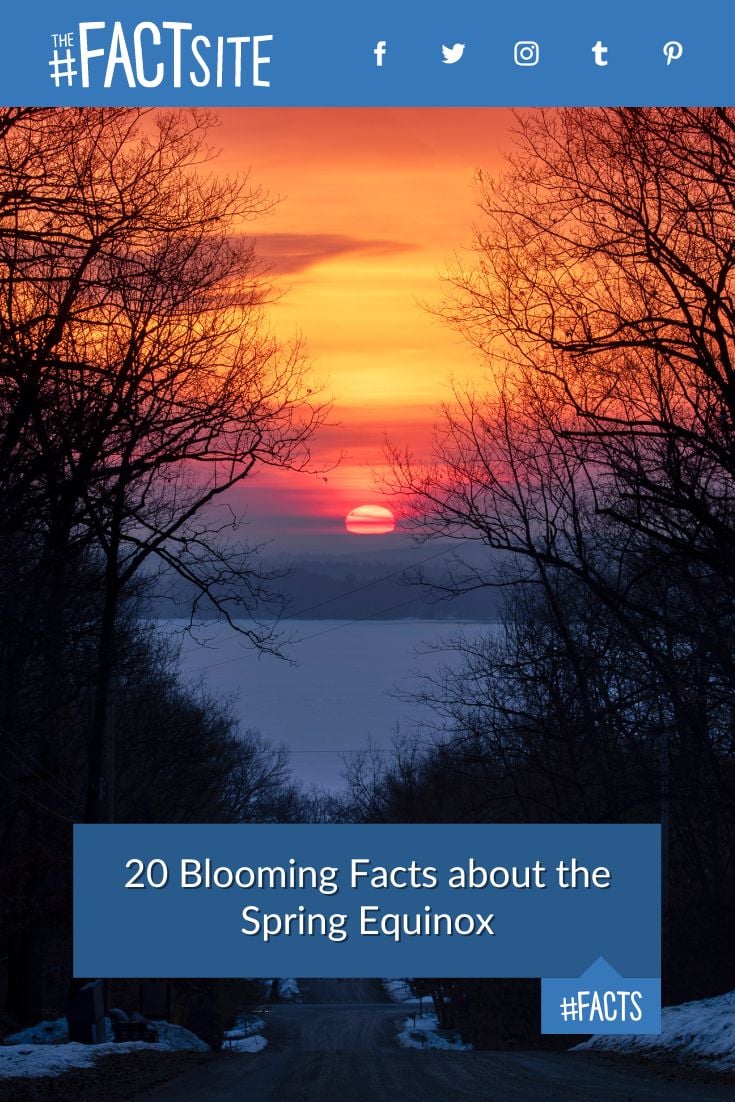 20 Blooming Facts About the Spring Equinox - The Fact Site