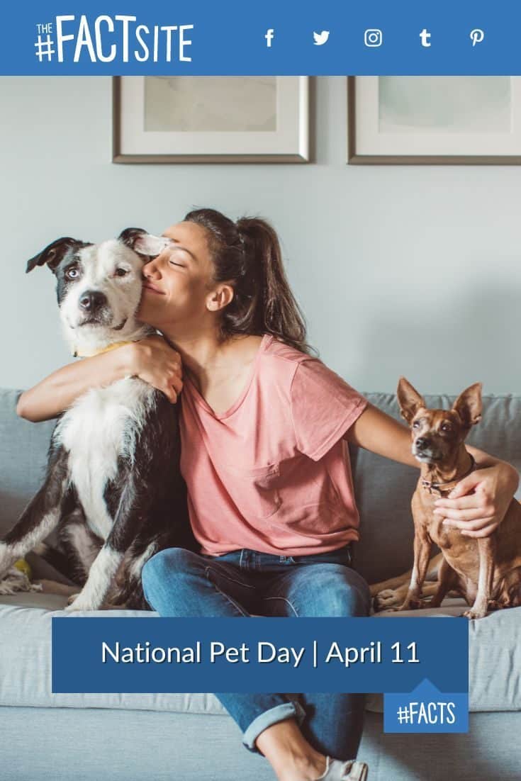 National Pet Day | April 11 - The Fact Site
