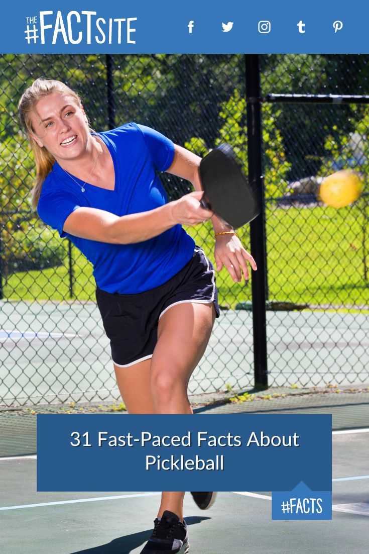 31 Fast-Paced Facts About Pickleball - The Fact Site