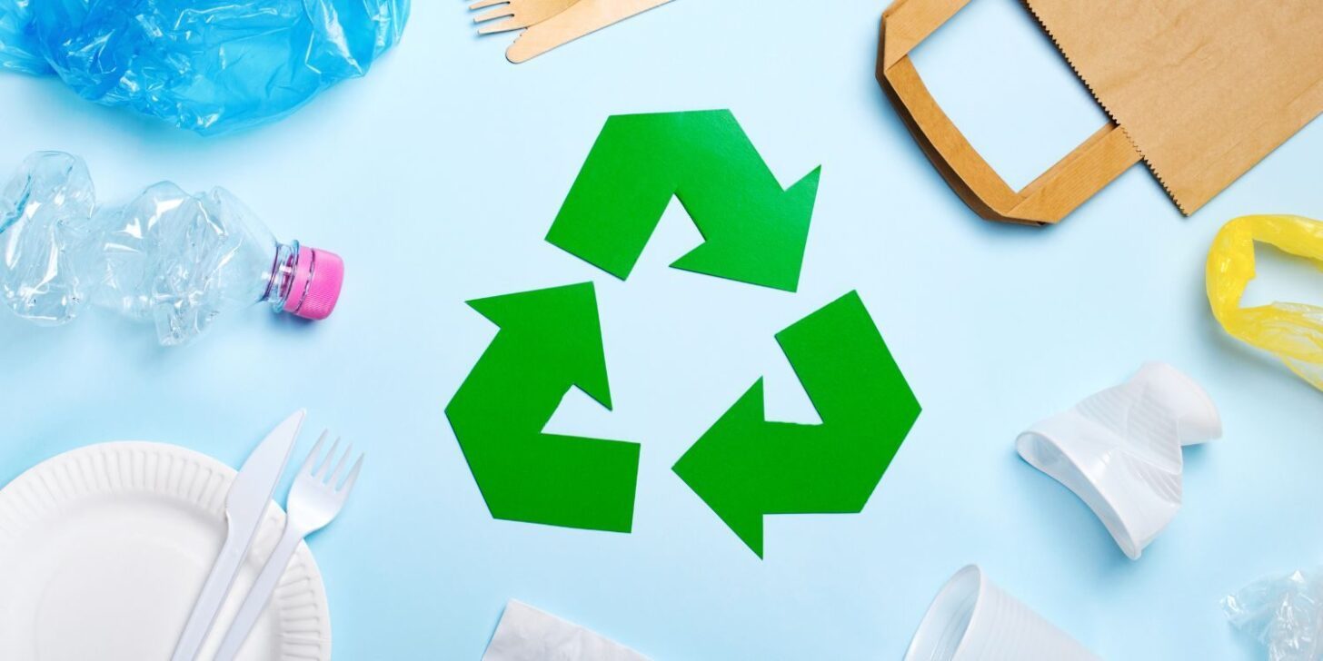 33 Fun & Interesting Facts About Algae For Kids - The Fact Site