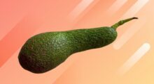 15 Appetizing Facts About Avocados - The Fact Site