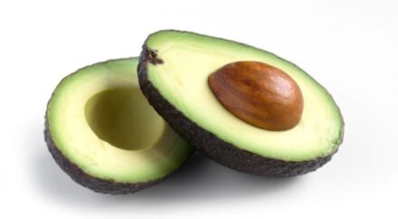 15 Appetizing Facts About Avocados - The Fact Site