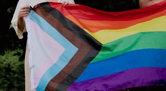 The Fabulous History of the Pride Flag - The Fact Site