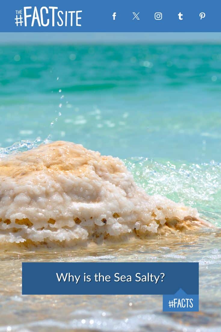 Why is the Sea Salty? - The Fact Site