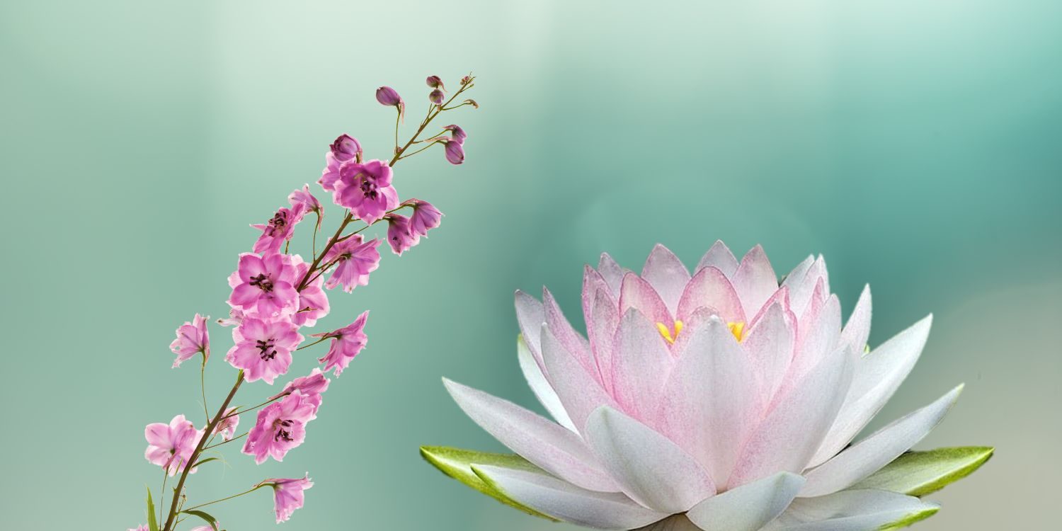 20 Facts About Larkspurs & Water Lilies, July's Birth Flowers - The ...