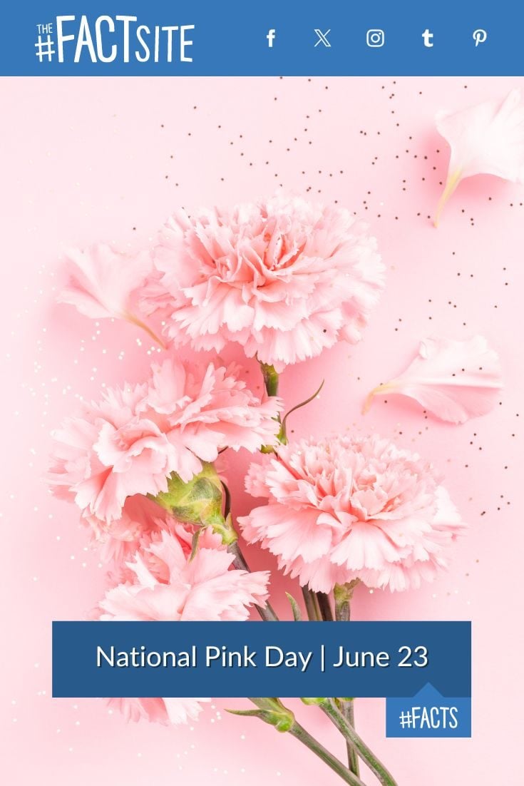 National Pink Day | June 23 - The Fact Site