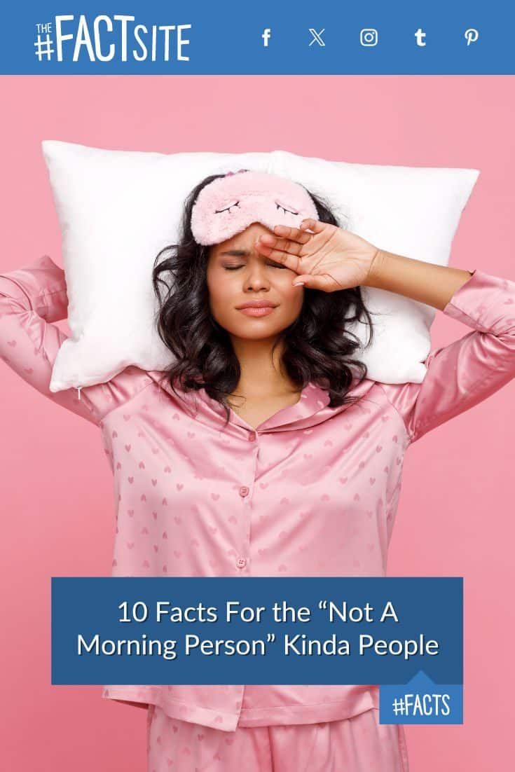 10 Facts For the “Not A Morning Person” Kinda People - The Fact Site