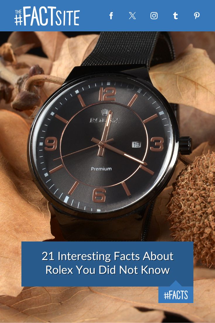 21 Interesting Facts About Rolex You Did Not Know - The Fact Site