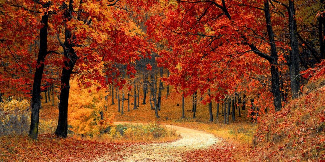 15 Fun Facts About Fall That’ll Leaf You Amazed - The Fact Site