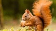 15 Fun Facts About Fall That’ll Leaf You Amazed - The Fact Site