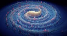 15 Facts About Hurricanes That Will Blow You Away - The Fact Site