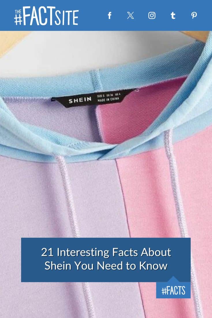 21 Interesting Facts About Shein You Need to Know - The Fact Site