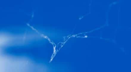 8 Surprising Facts About Spider Webs That You Didn't Know - The Fact Site