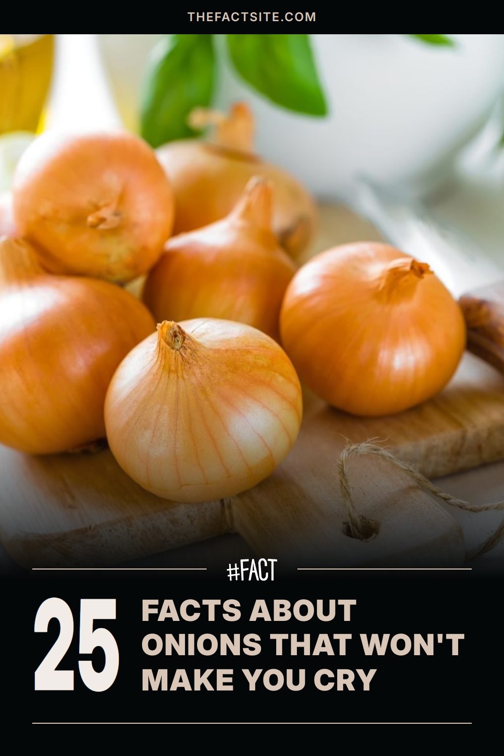 25 Facts About Onions That Won't Make You Cry - The Fact Site