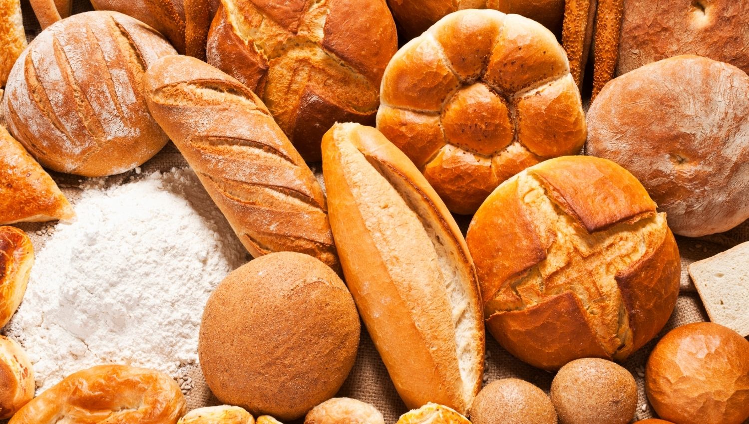 21 Fun Facts About Bread You Probably Didn’t Know - The Fact Site