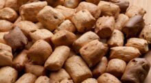 21 Fun Facts About Bread You Probably Didn’t Know - The Fact Site