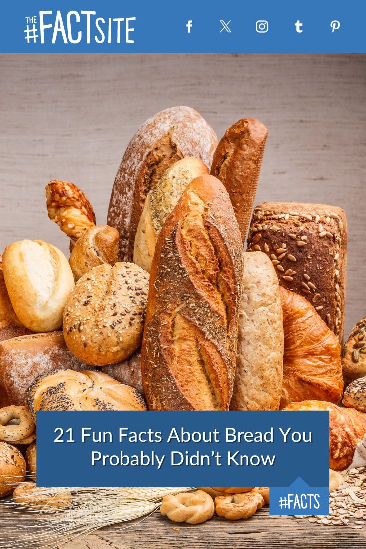 21 Fun Facts About Bread You Probably Didn’t Know - The Fact Site