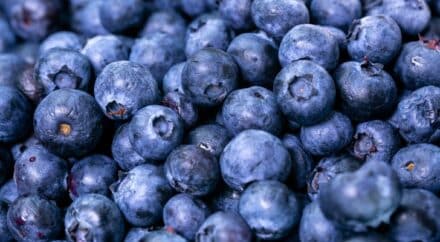 10 Brilliant Facts About Blueberries You Should Know - The Fact Site