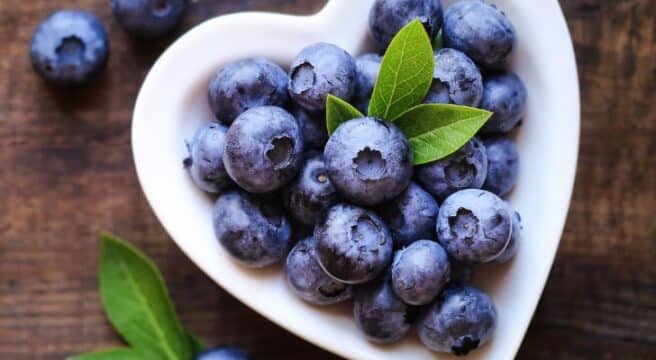 10 Brilliant Facts About Blueberries You Should Know - The Fact Site