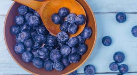 10 Brilliant Facts About Blueberries You Should Know - The Fact Site