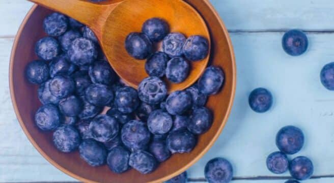 10 Brilliant Facts About Blueberries You Should Know - The Fact Site