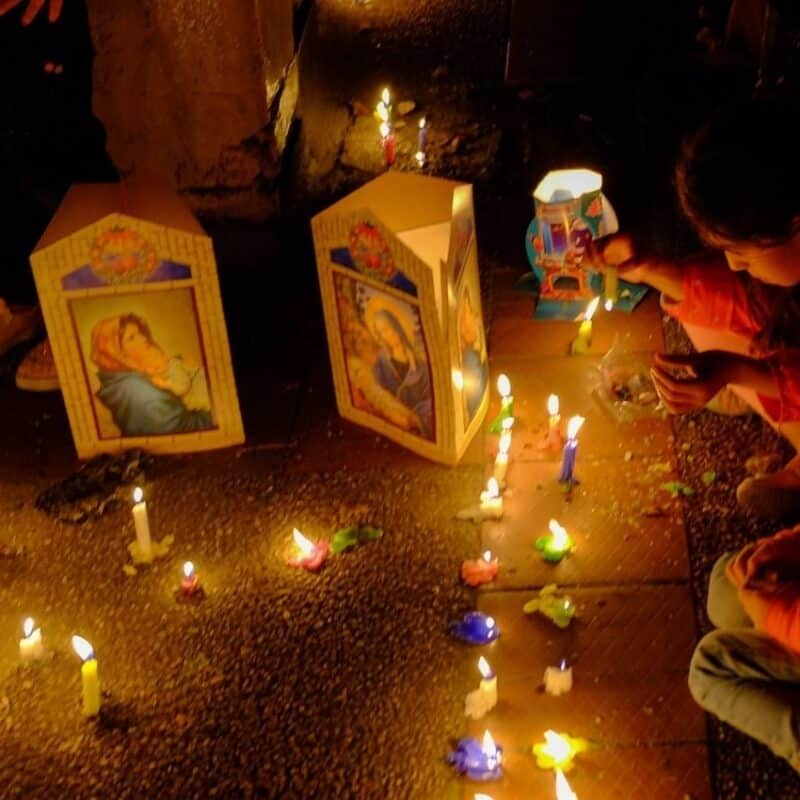 20 Facts About Brian Griffin | Family Guy - The Fact Site