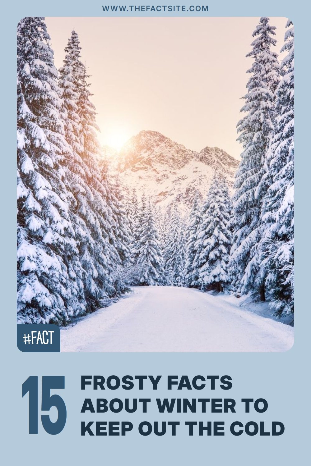 15 Frosty Facts About Winter to Keep Out the Cold - The Fact Site