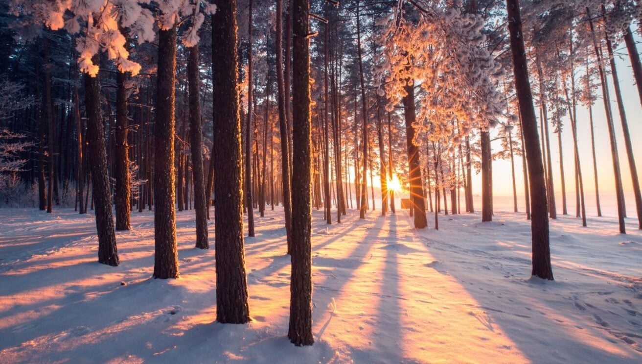 15 Frosty Facts About Winter to Keep Out the Cold - The Fact Site