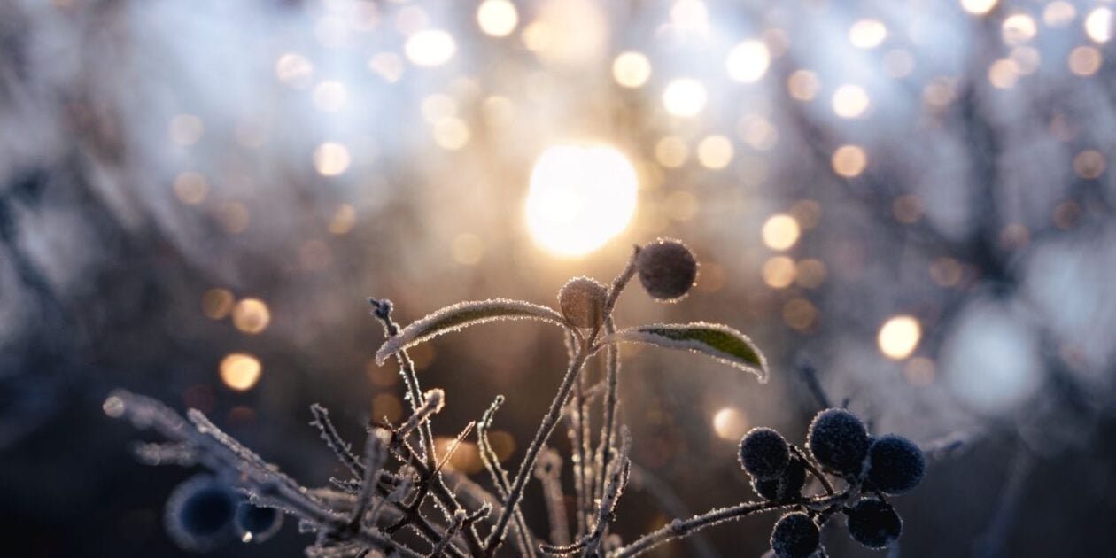 20 Delightful Facts About December - The Fact Site