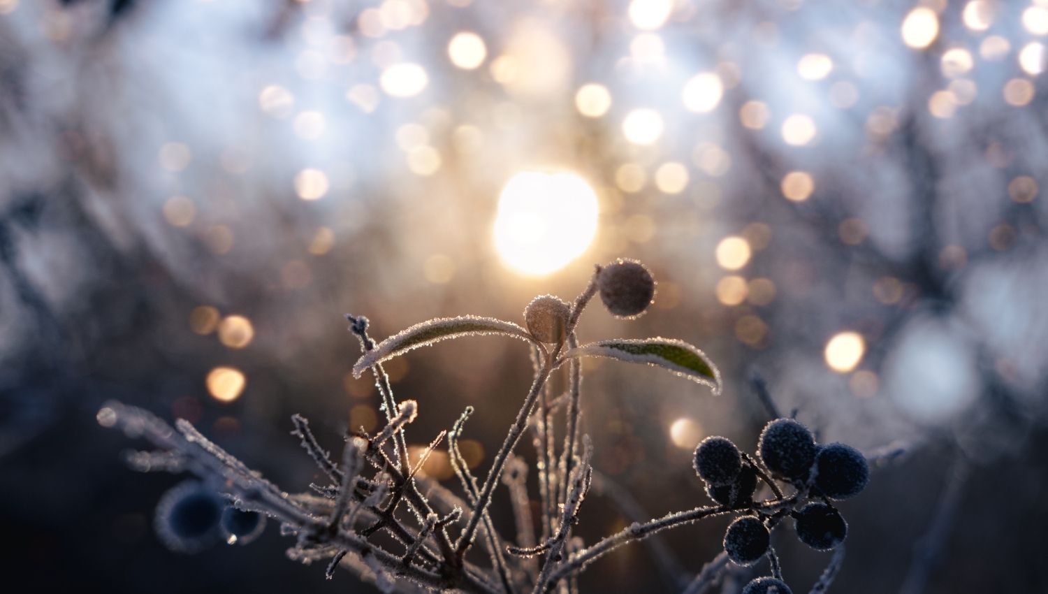 21 Cool Facts About The Winter Solstice - The Fact Site