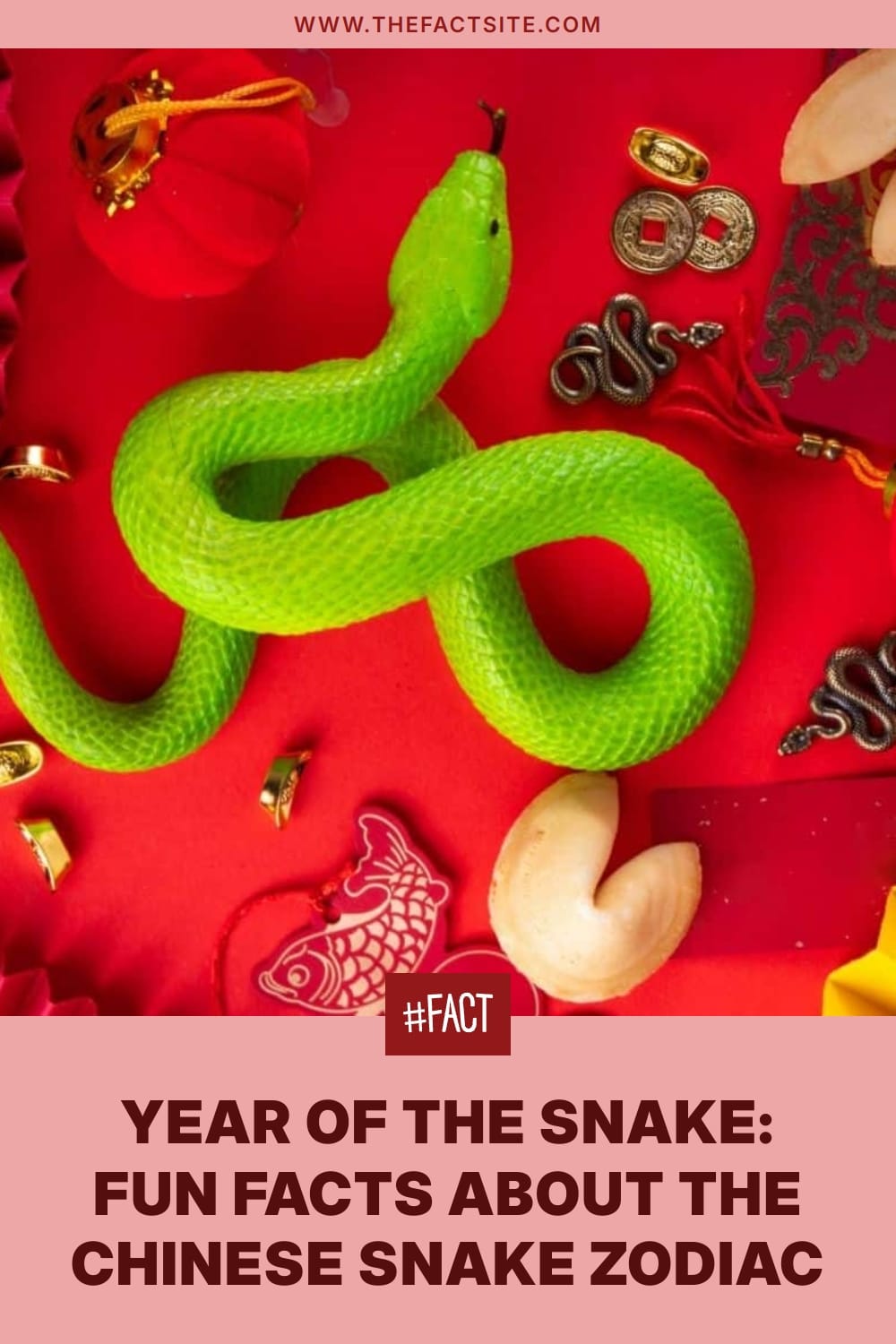 Year of the Snake: Fun Facts About the Chinese Snake Zodiac - The Fact Site