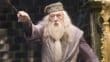 30 Magical Facts About Professor Albus Dumbledore - The Fact Site