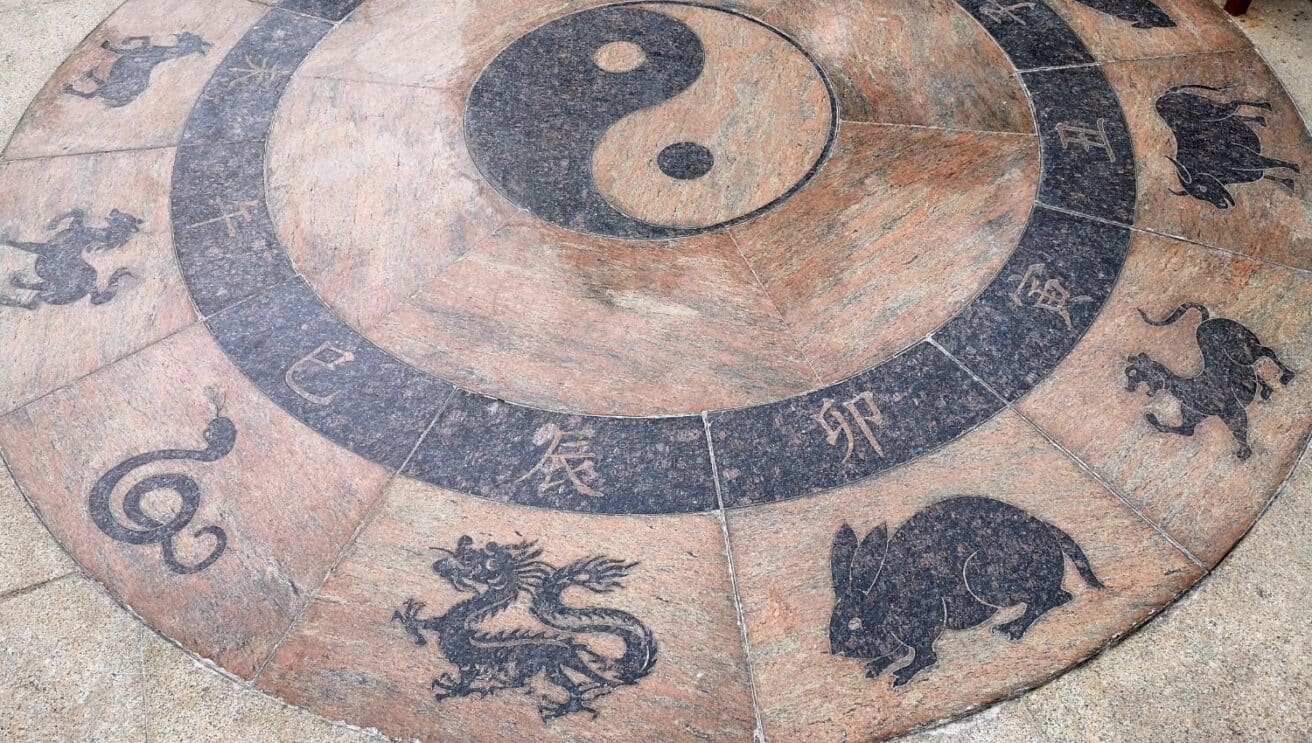 Year of the Snake: Fun Facts About the Chinese Snake Zodiac - The Fact Site