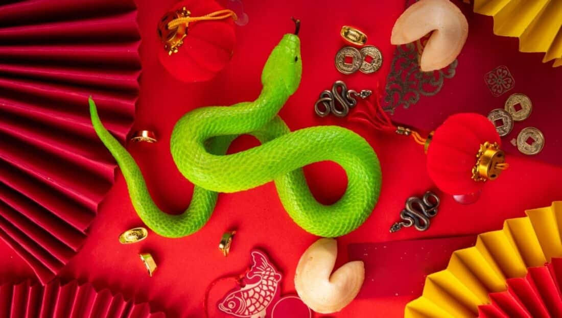 Year of the Snake: Fun Facts About the Chinese Snake Zodiac - The Fact Site