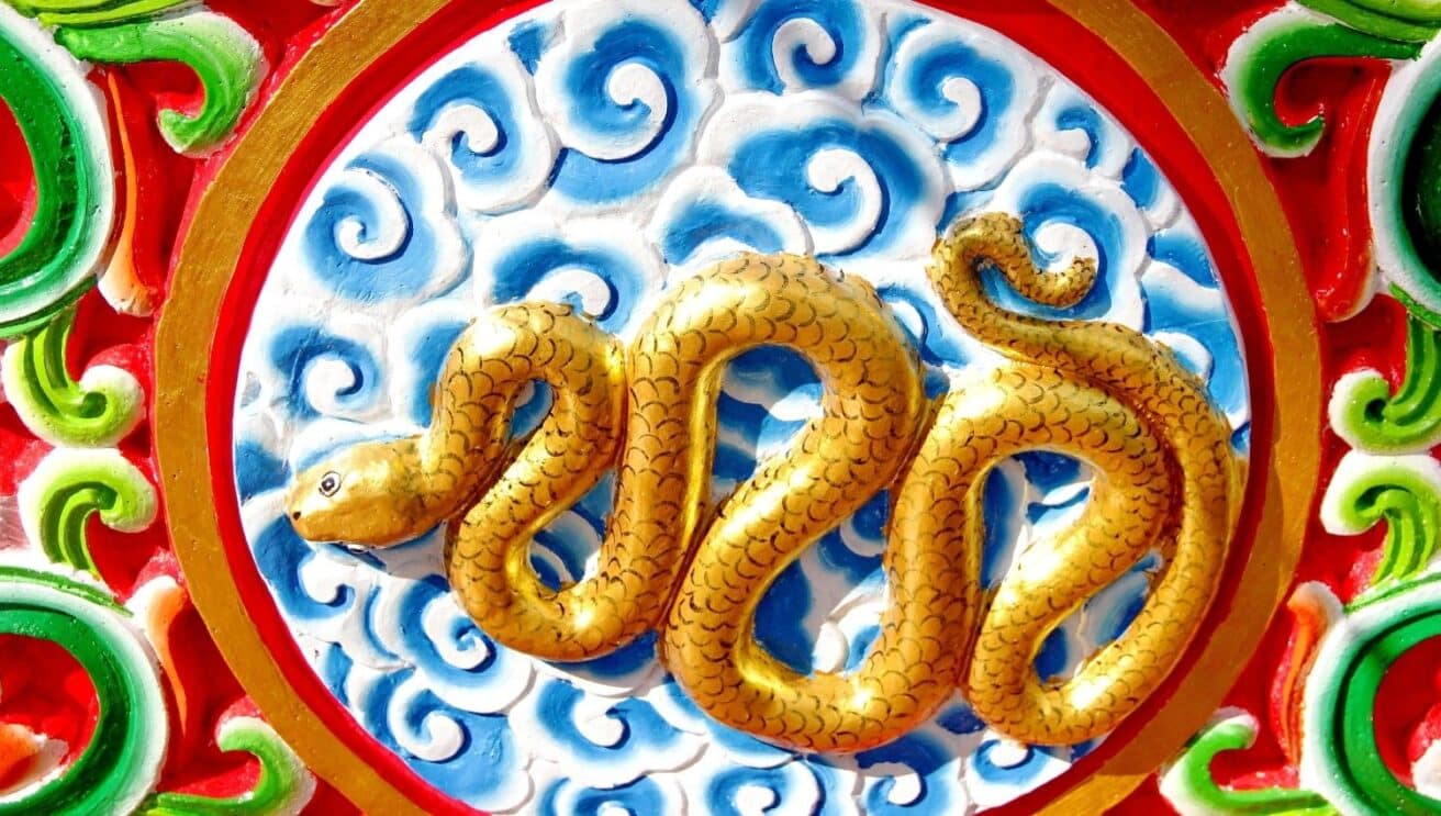 Year of the Snake: Fun Facts About the Chinese Snake Zodiac - The Fact Site