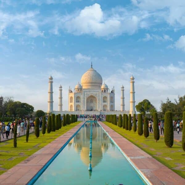 Fun Facts About Homer Simpson | The Fact Site