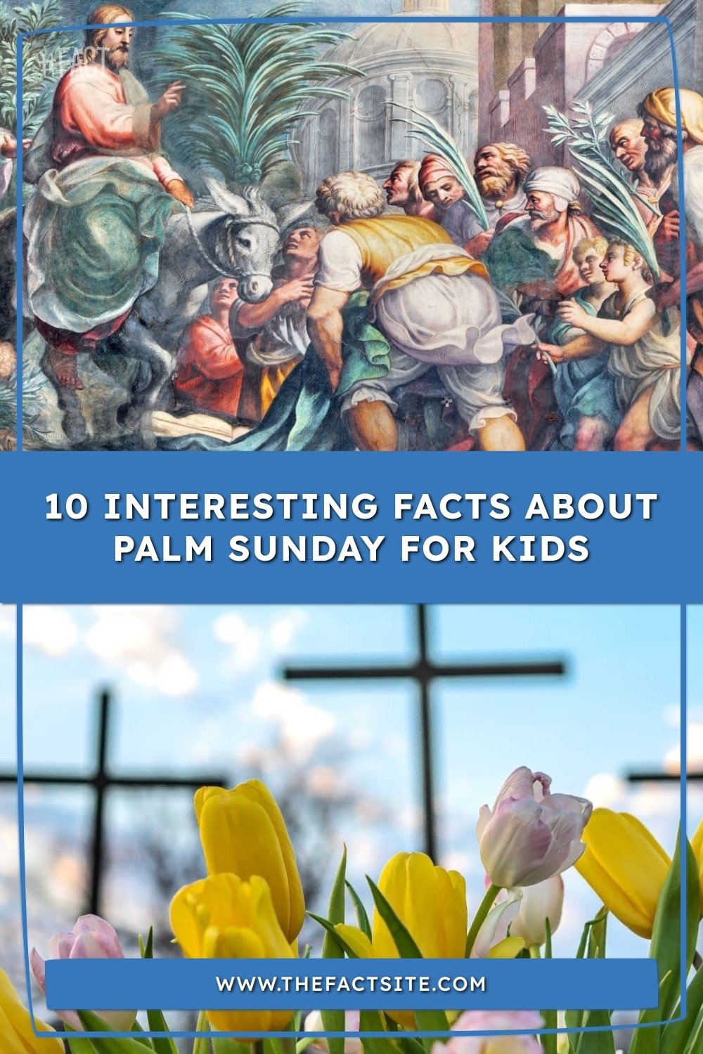 10 Interesting Facts About Palm Sunday For Kids - The Fact Site