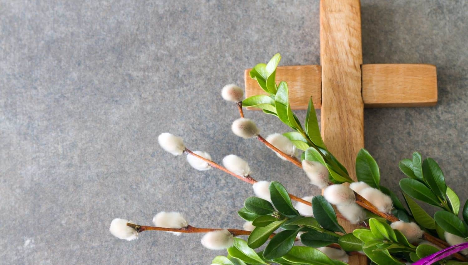 10 Interesting Facts About Palm Sunday For Kids - The Fact Site