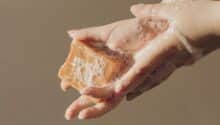 How Does Soap Clean Away Germs and Dirt? - The Fact Site