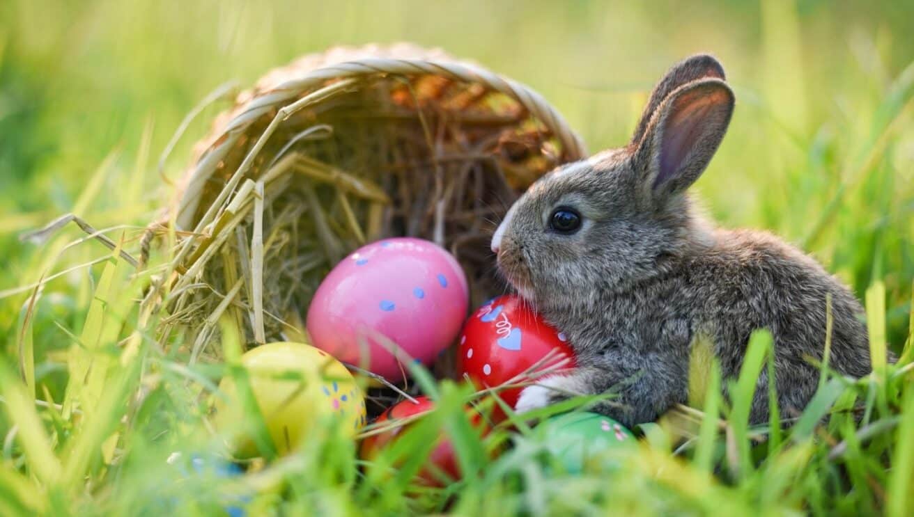 100 Fun Facts About Easter That'll Egg-spand Your Mind - The Fact Site
