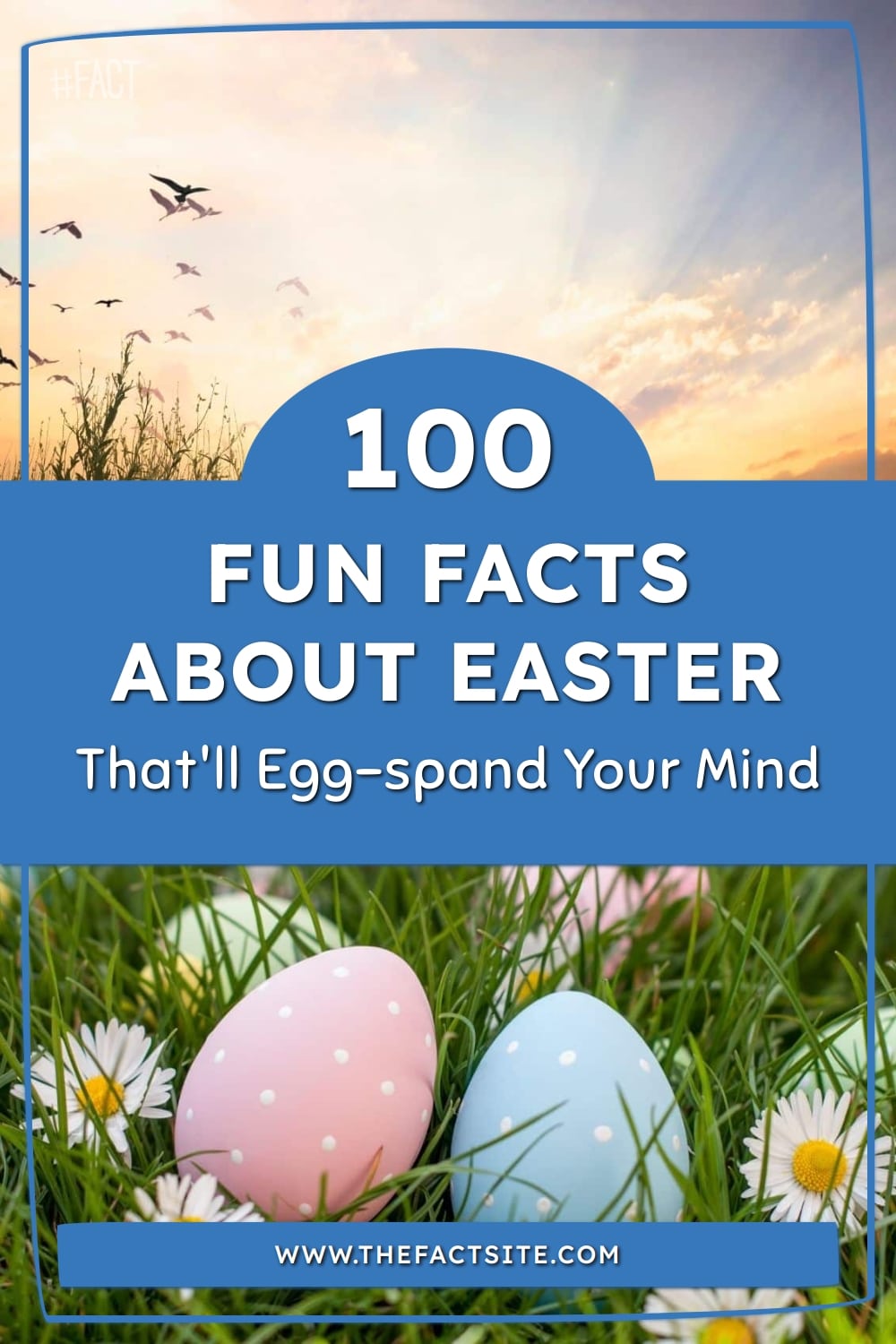 100 Fun Facts About Easter That'll Egg-spand Your Mind - The Fact Site