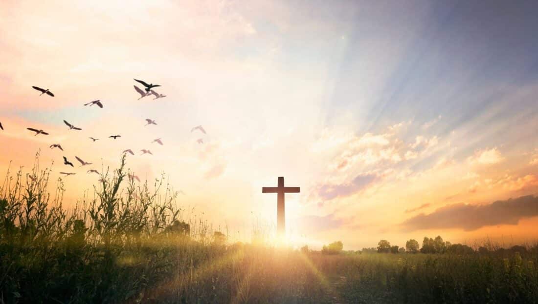100 Fun Facts About Easter That'll Egg-spand Your Mind - The Fact Site