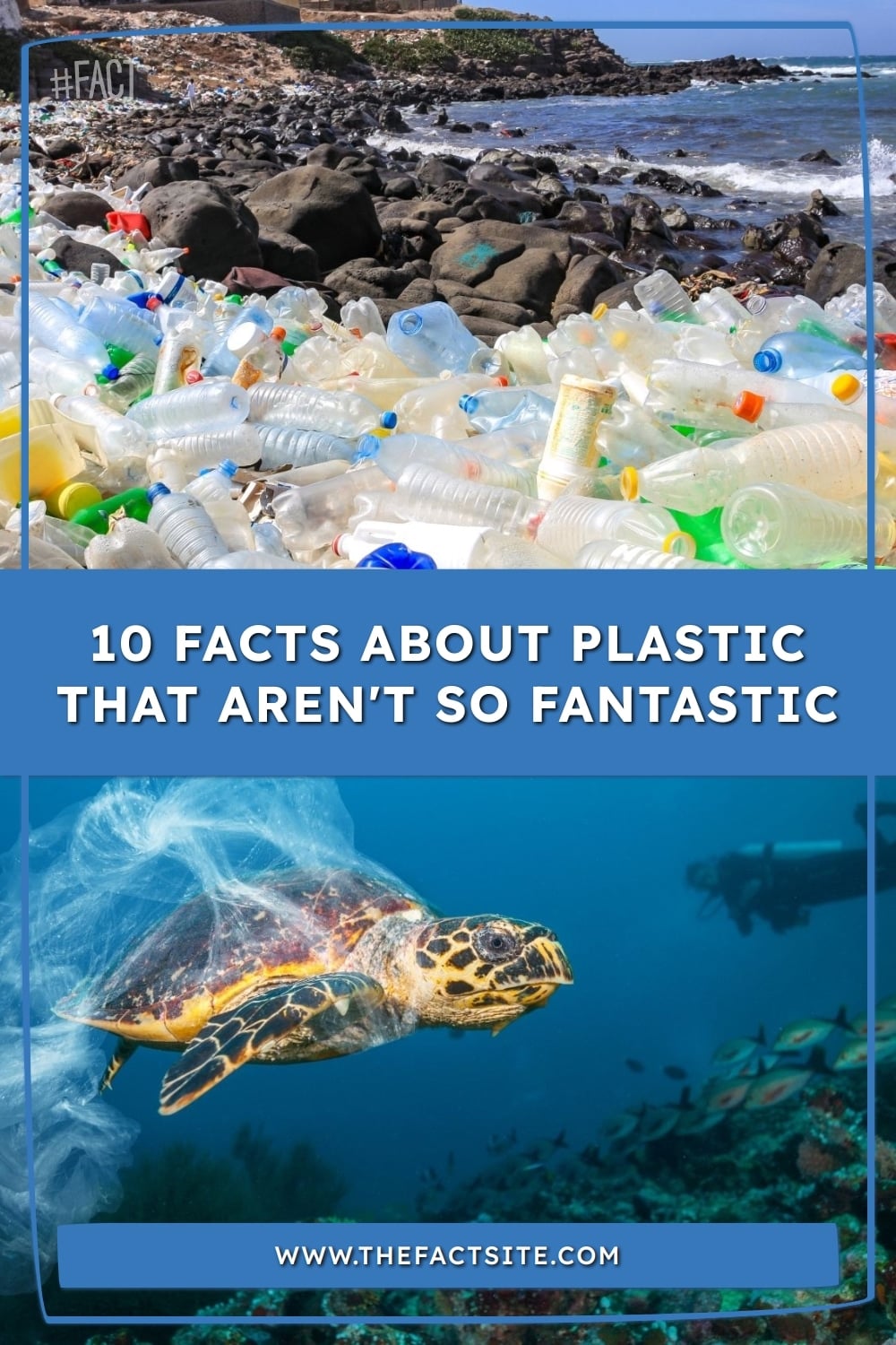 10 Facts About Plastic That Aren't So Fantastic - The Fact Site