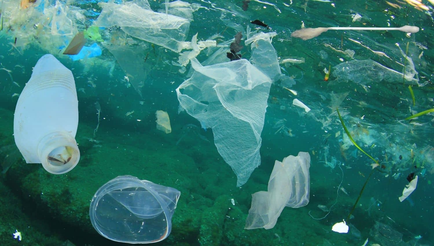 10 Facts About Plastic That Aren't So Fantastic - The Fact Site