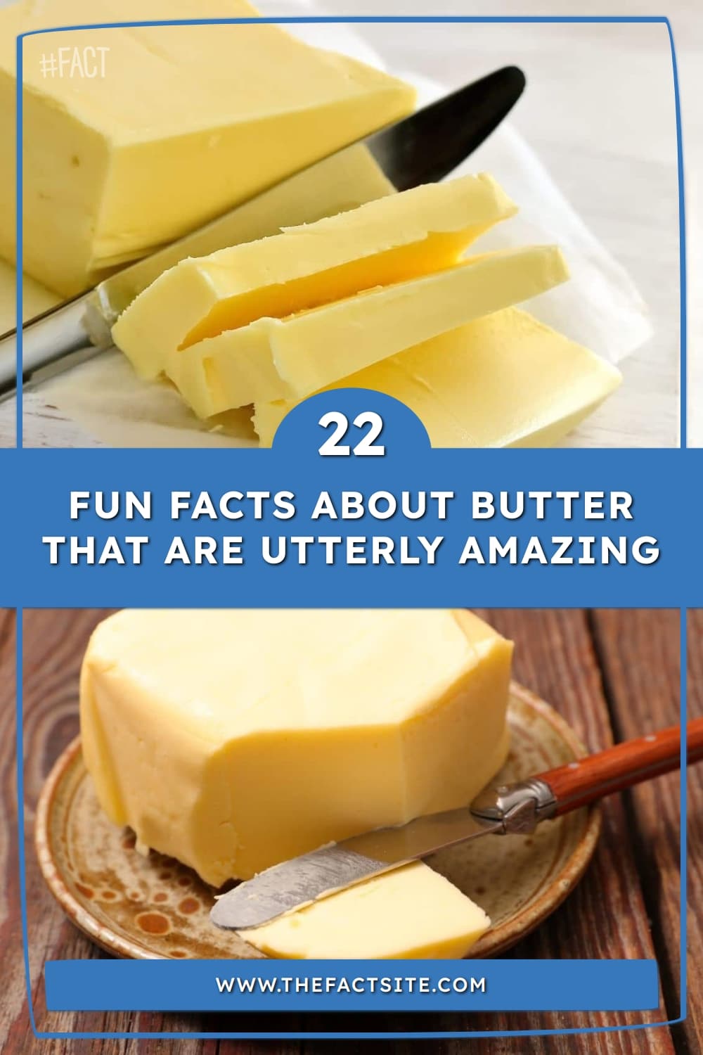 22 Fun Facts About Butter That Are Utterly Amazing - The Fact Site