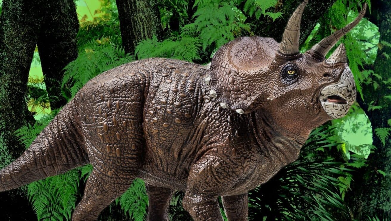 10 Incredible Facts About Triceratops That You Didn't Know - The Fact Site