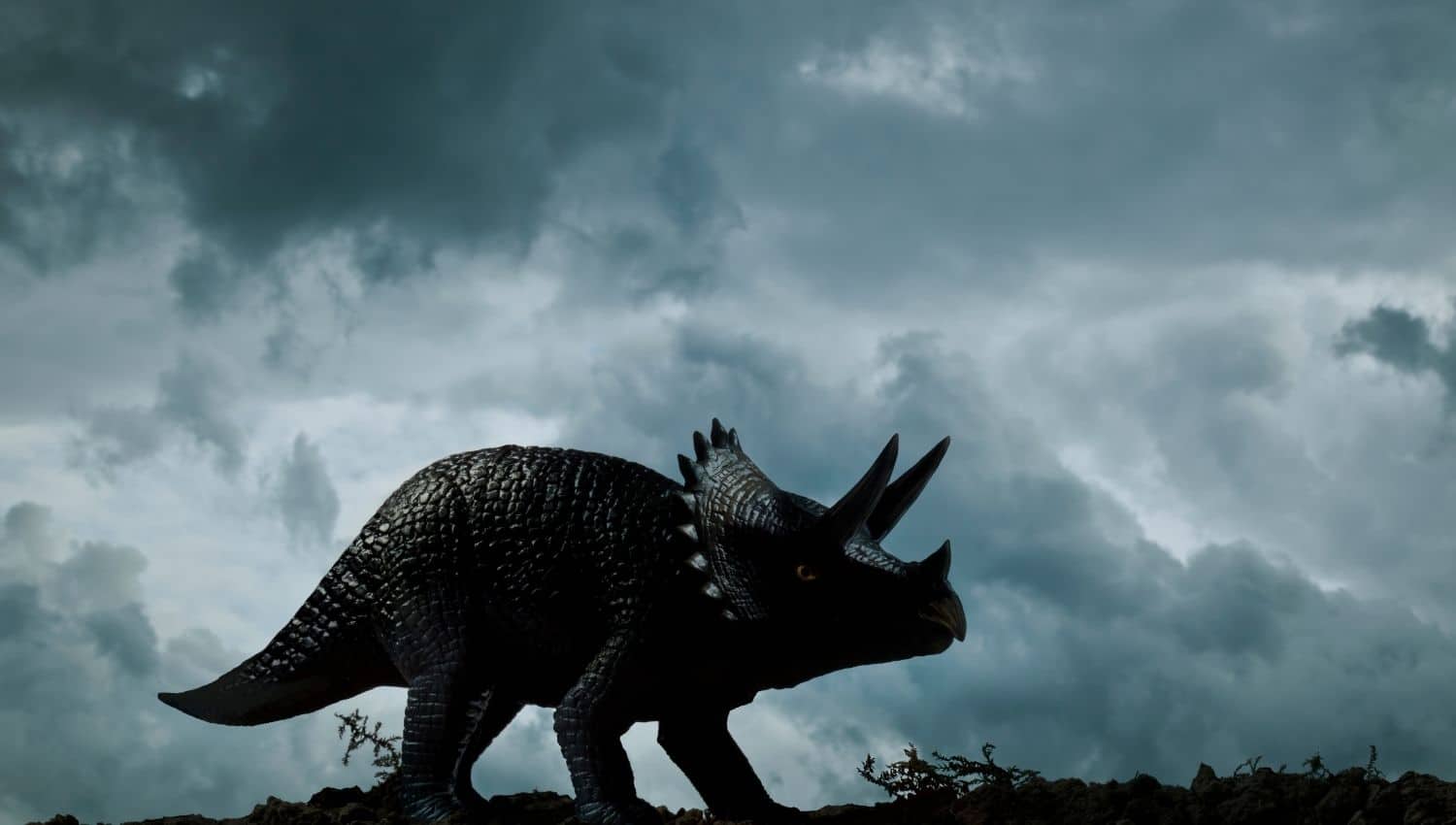 10 Incredible Facts About Triceratops That You Didn't Know - The Fact Site